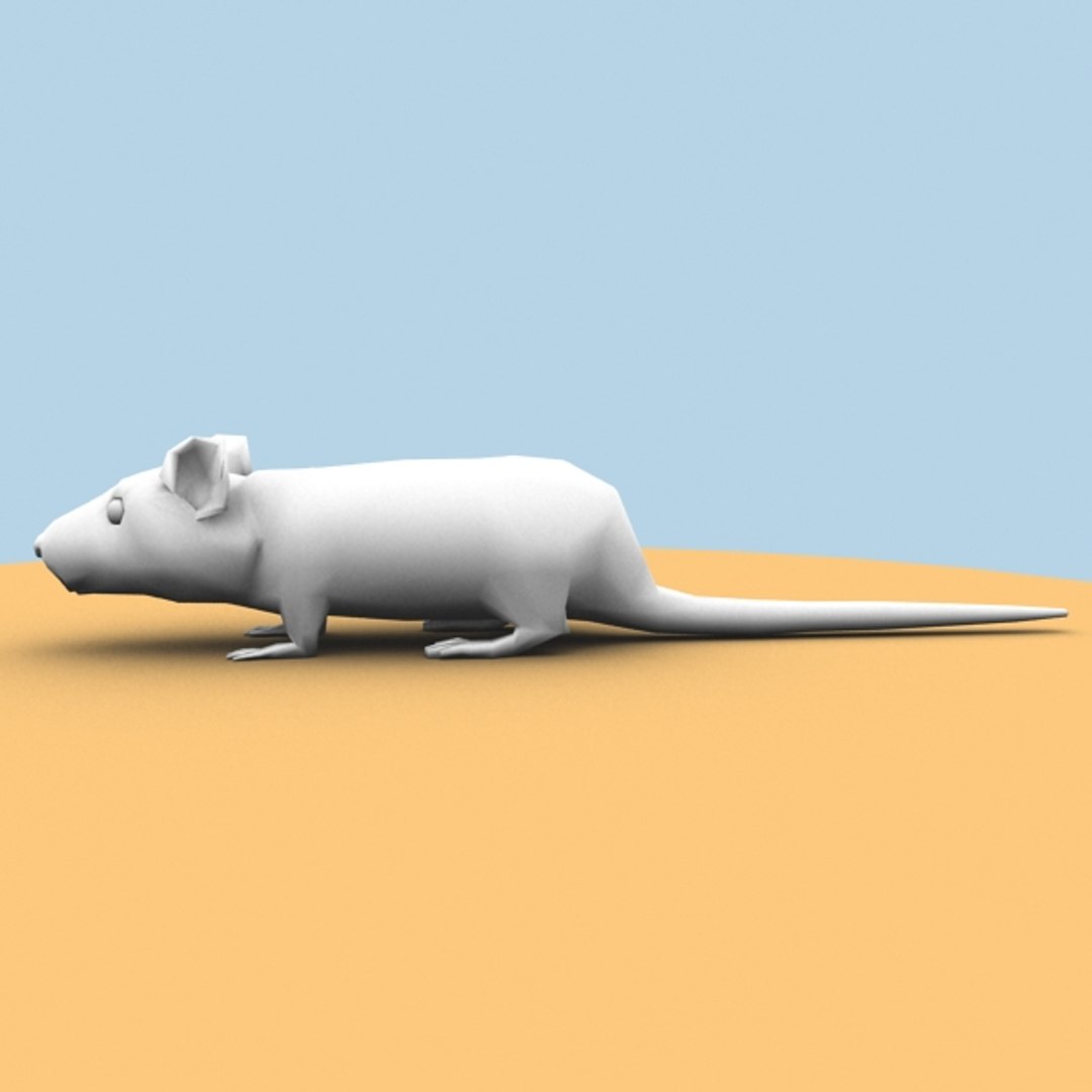Maya Rat Games