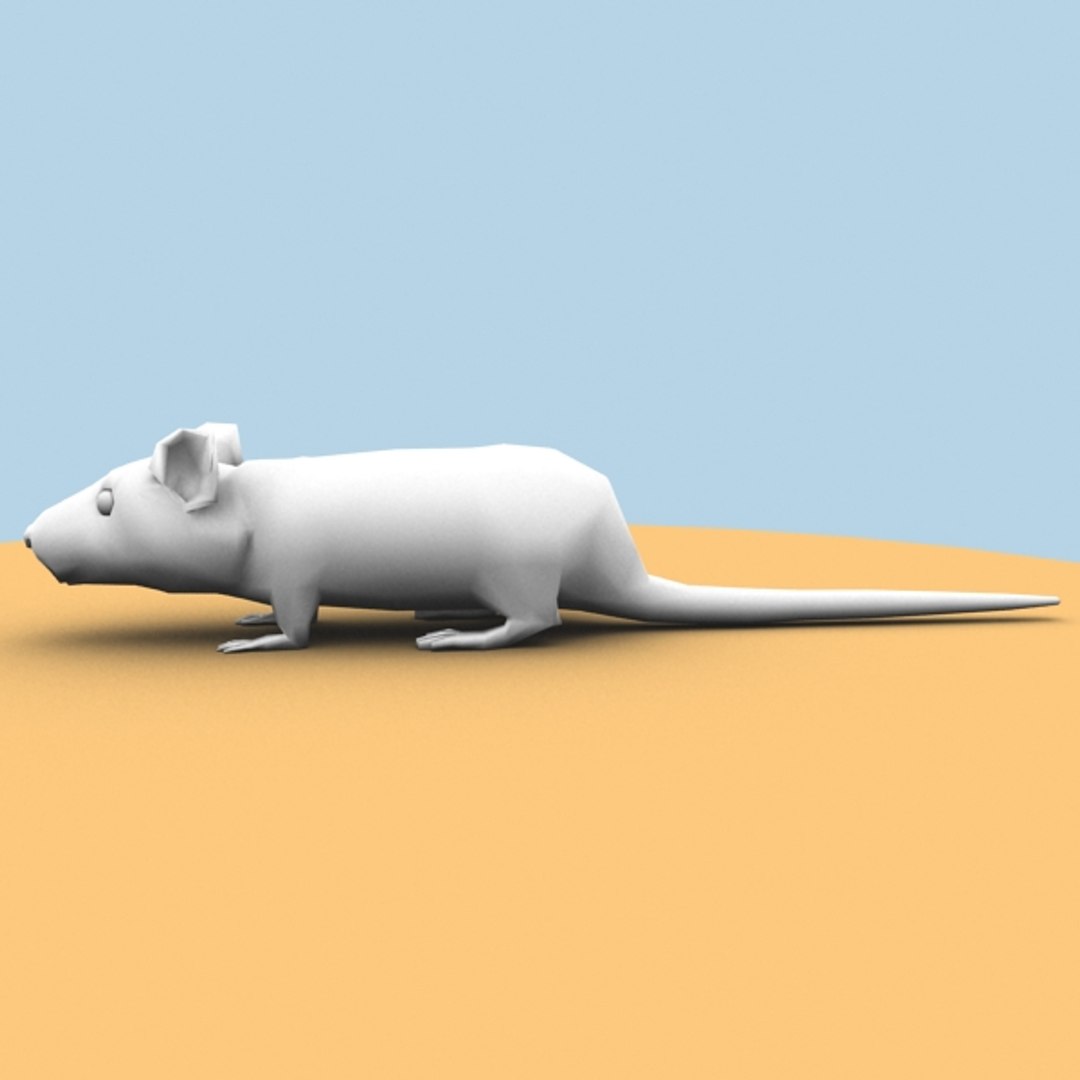 Maya Rat Games
