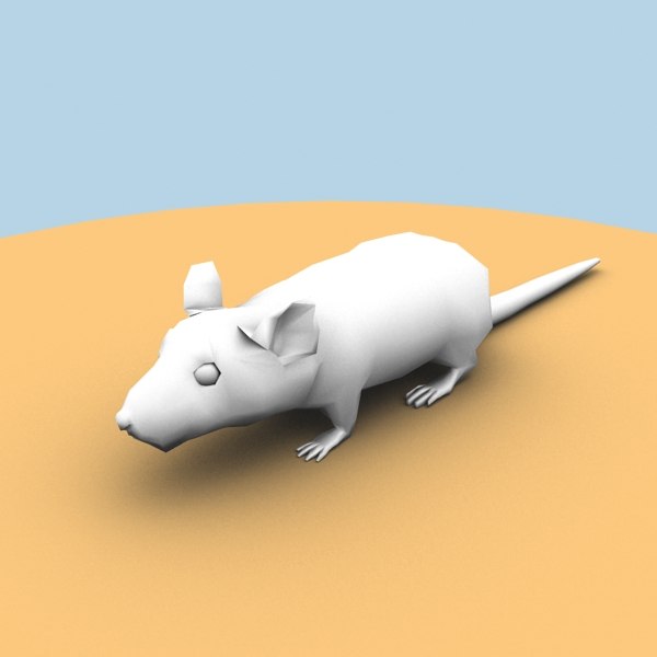 modelo 3d Rata Low Poly gratis - TurboSquid 611560