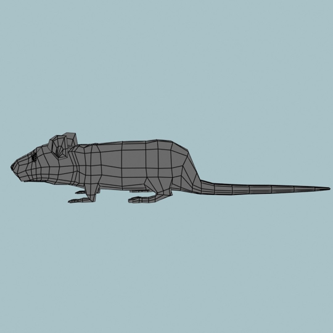 Maya Rat Games
