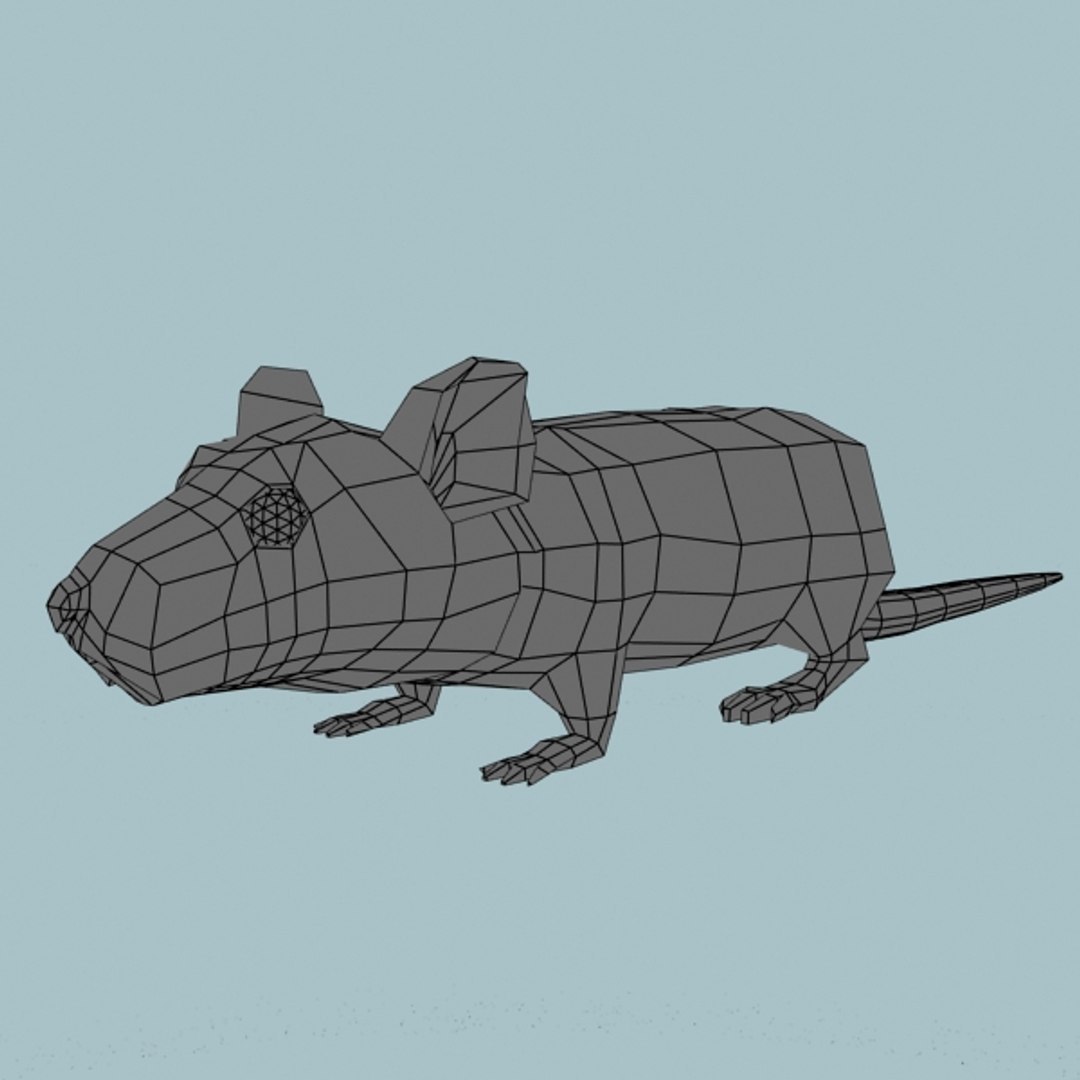 Maya Rat Games
