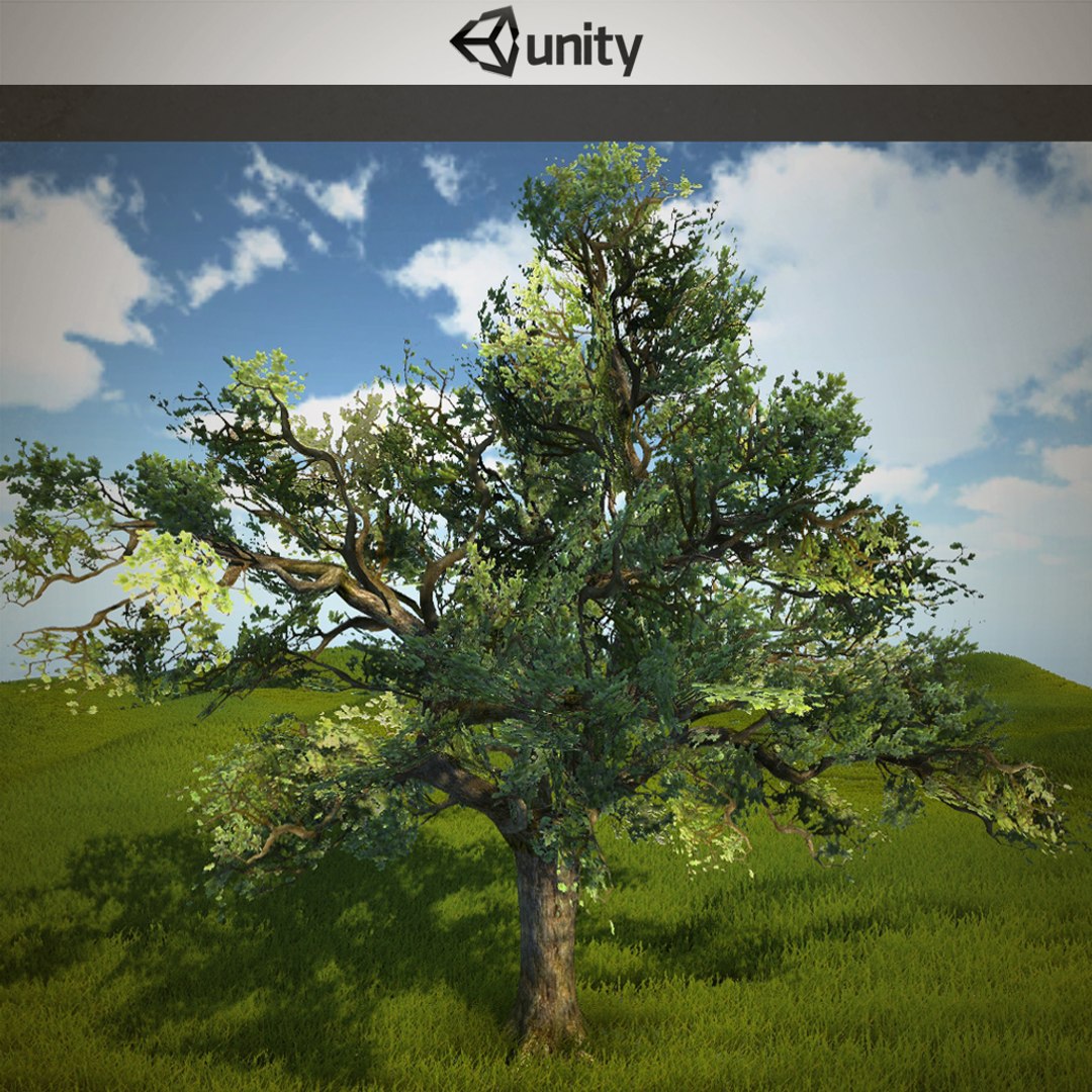 3d Real Time Lod Tree Oak Model