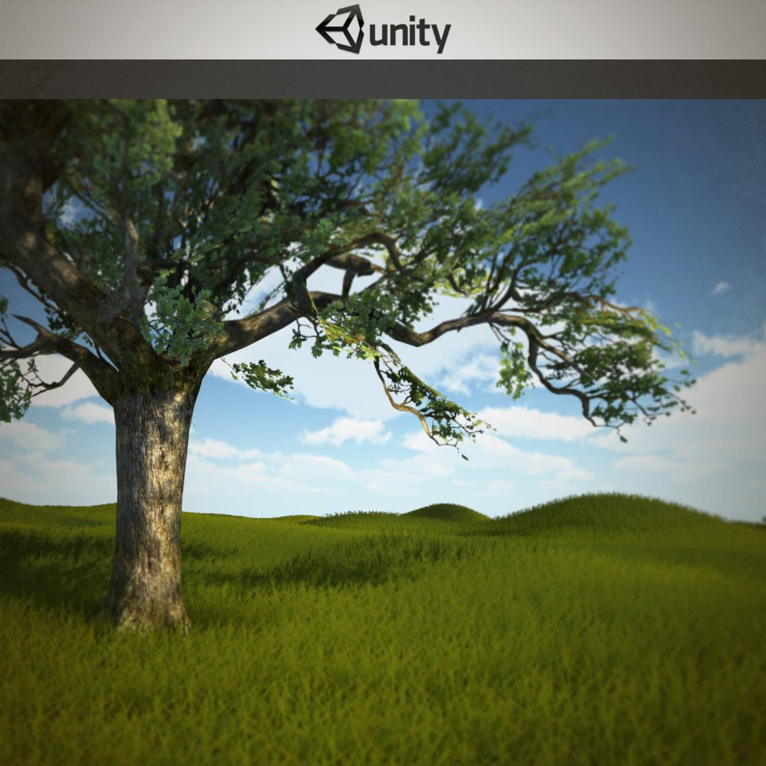 3d Real Time Lod Tree Oak Model