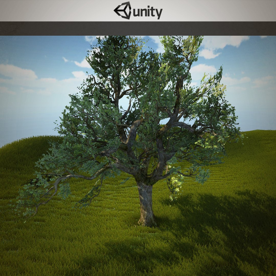 3d Real Time Lod Tree Oak Model