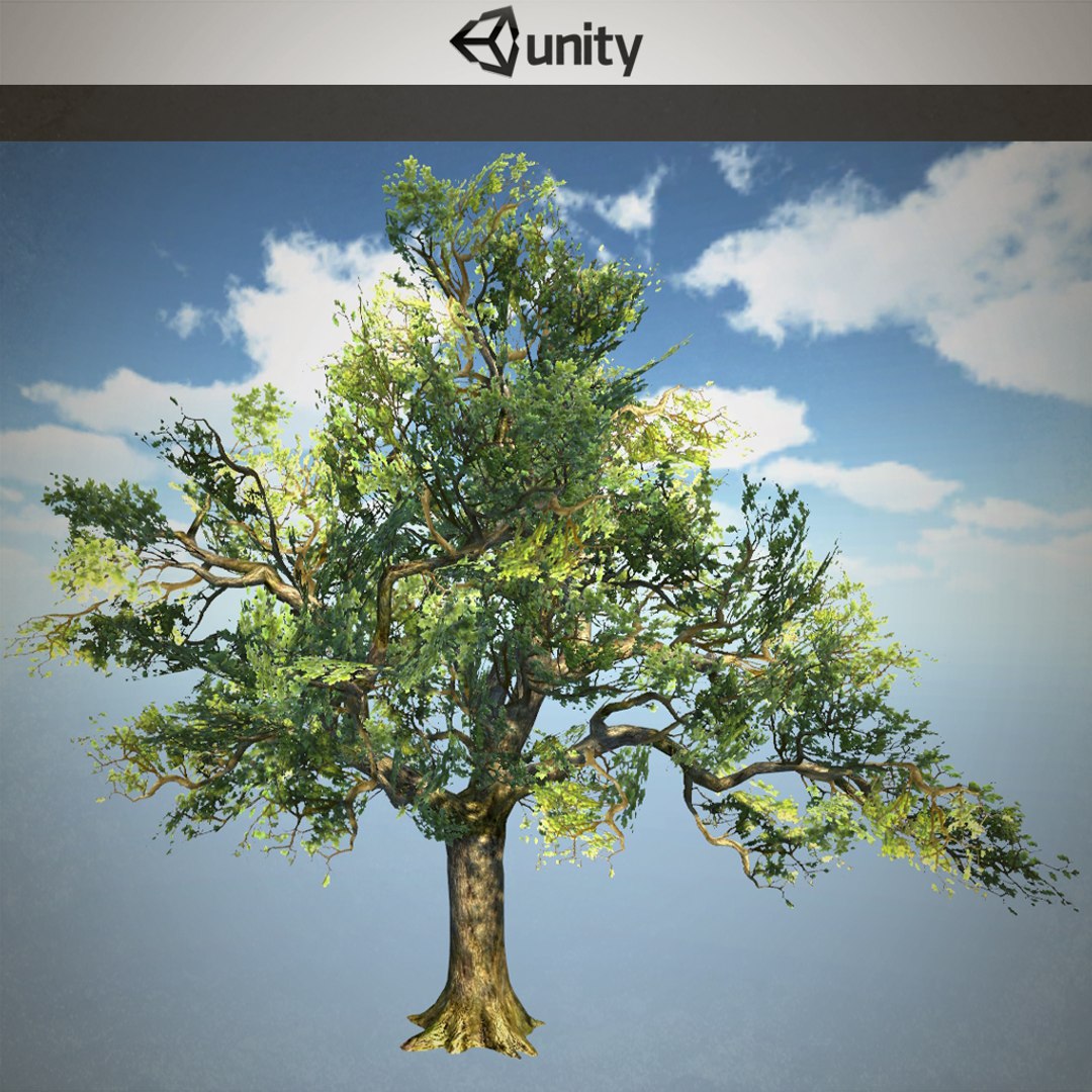 3d Real Time Lod Tree Oak Model