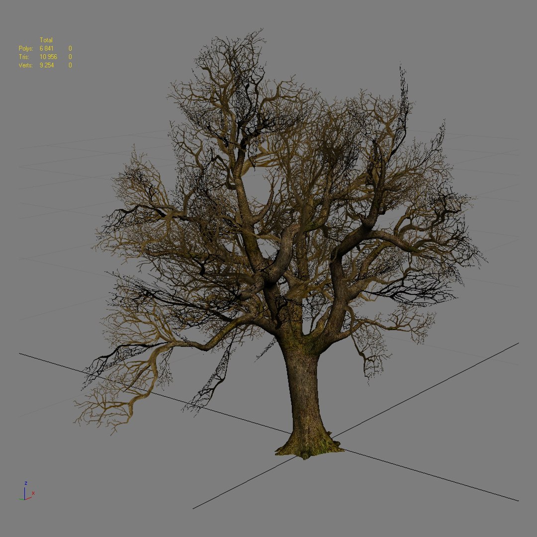 3d Real Time Lod Tree Oak Model
