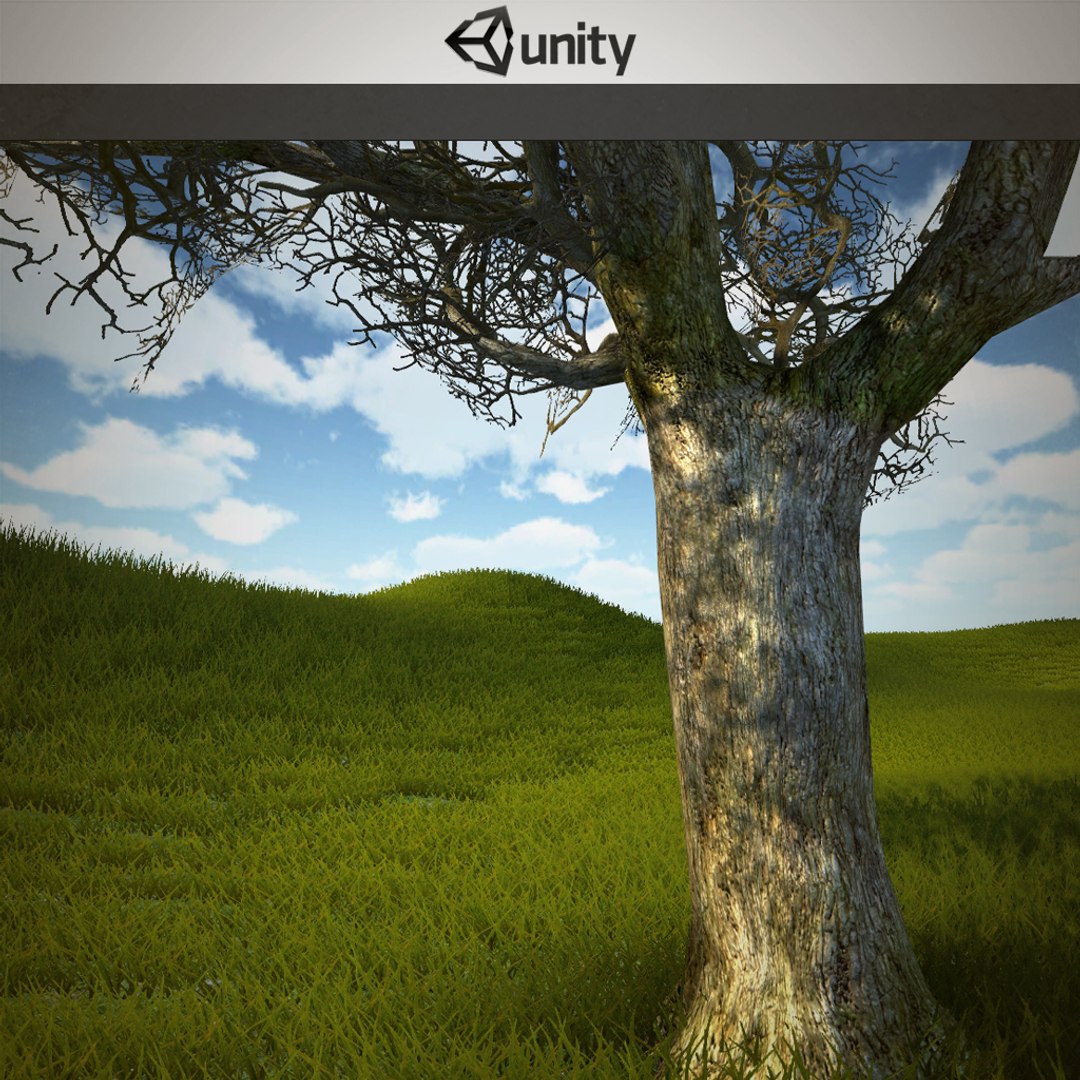 3d Real Time Lod Tree Oak Model