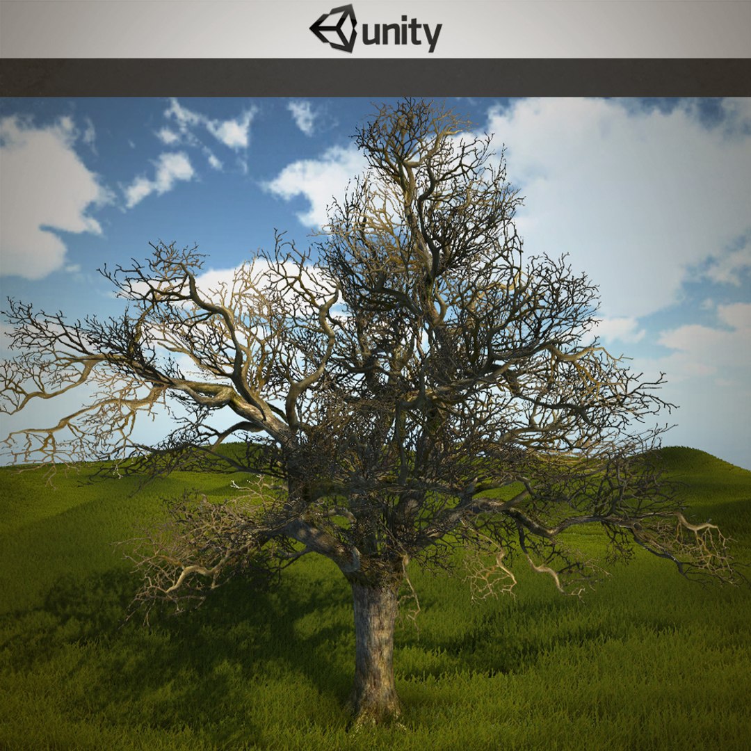 3d Real Time Lod Tree Oak Model