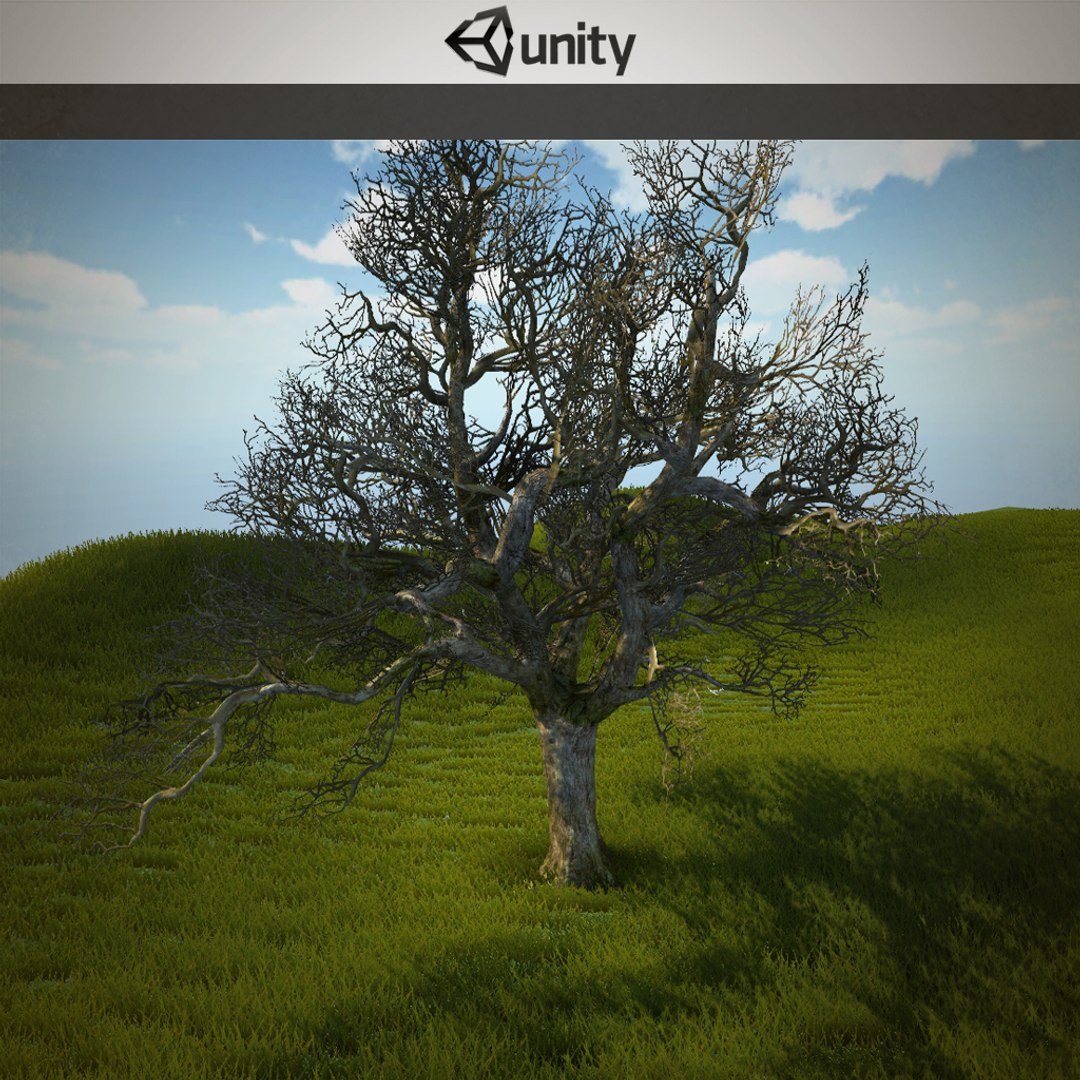 3d Real Time Lod Tree Oak Model