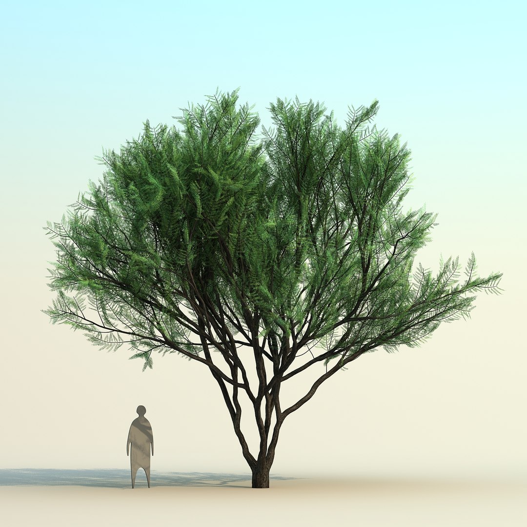 Tree Trunk 3D Model - TurboSquid 1324406