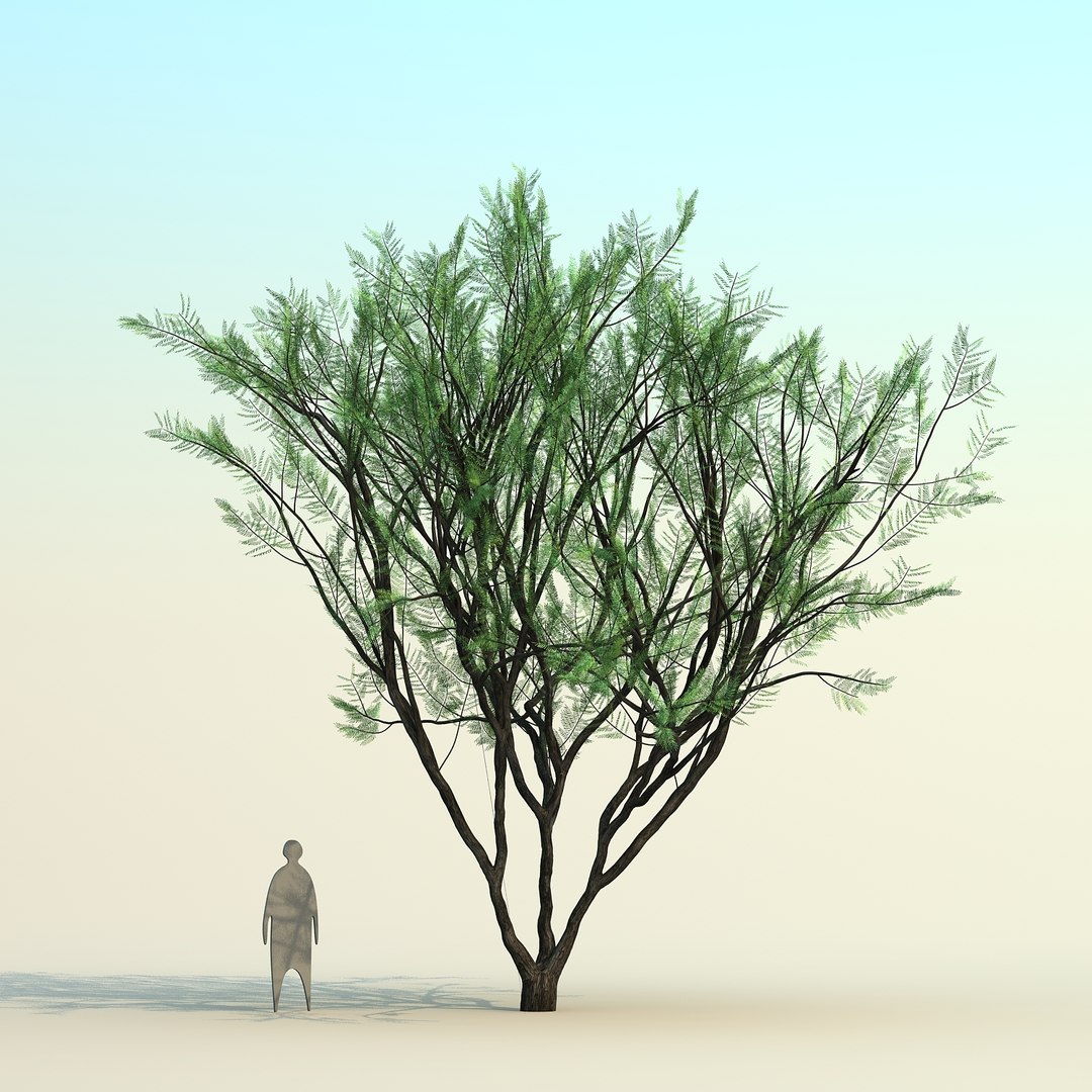 Tree Trunk 3D Model - TurboSquid 1324406