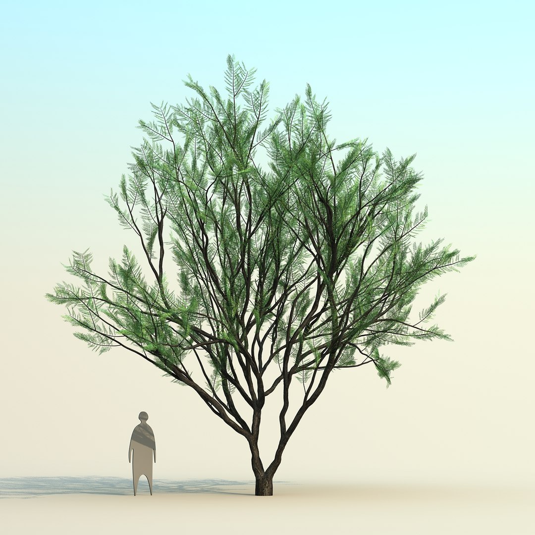 Tree Trunk 3D Model - TurboSquid 1324406