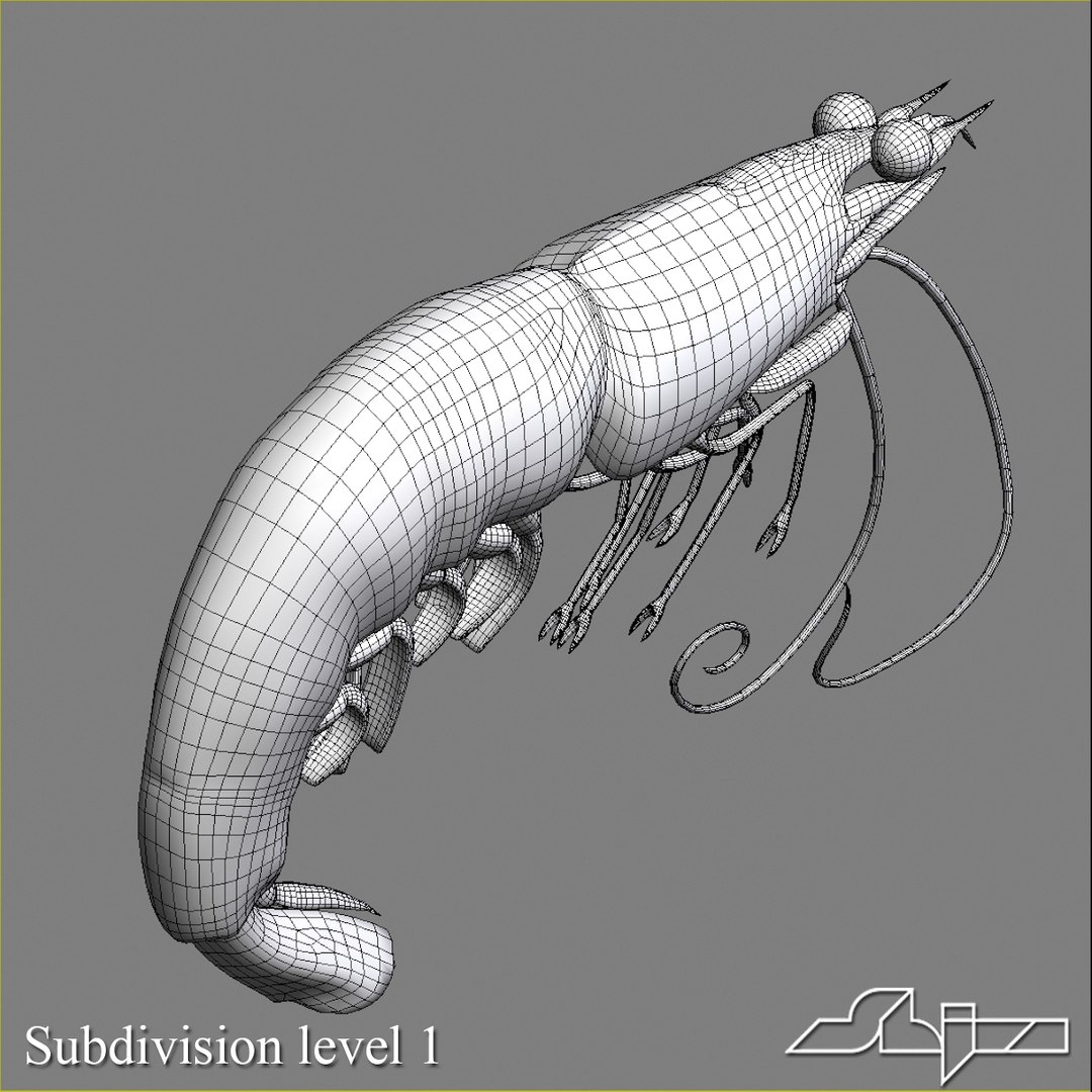Shrimp 2 3d 3ds