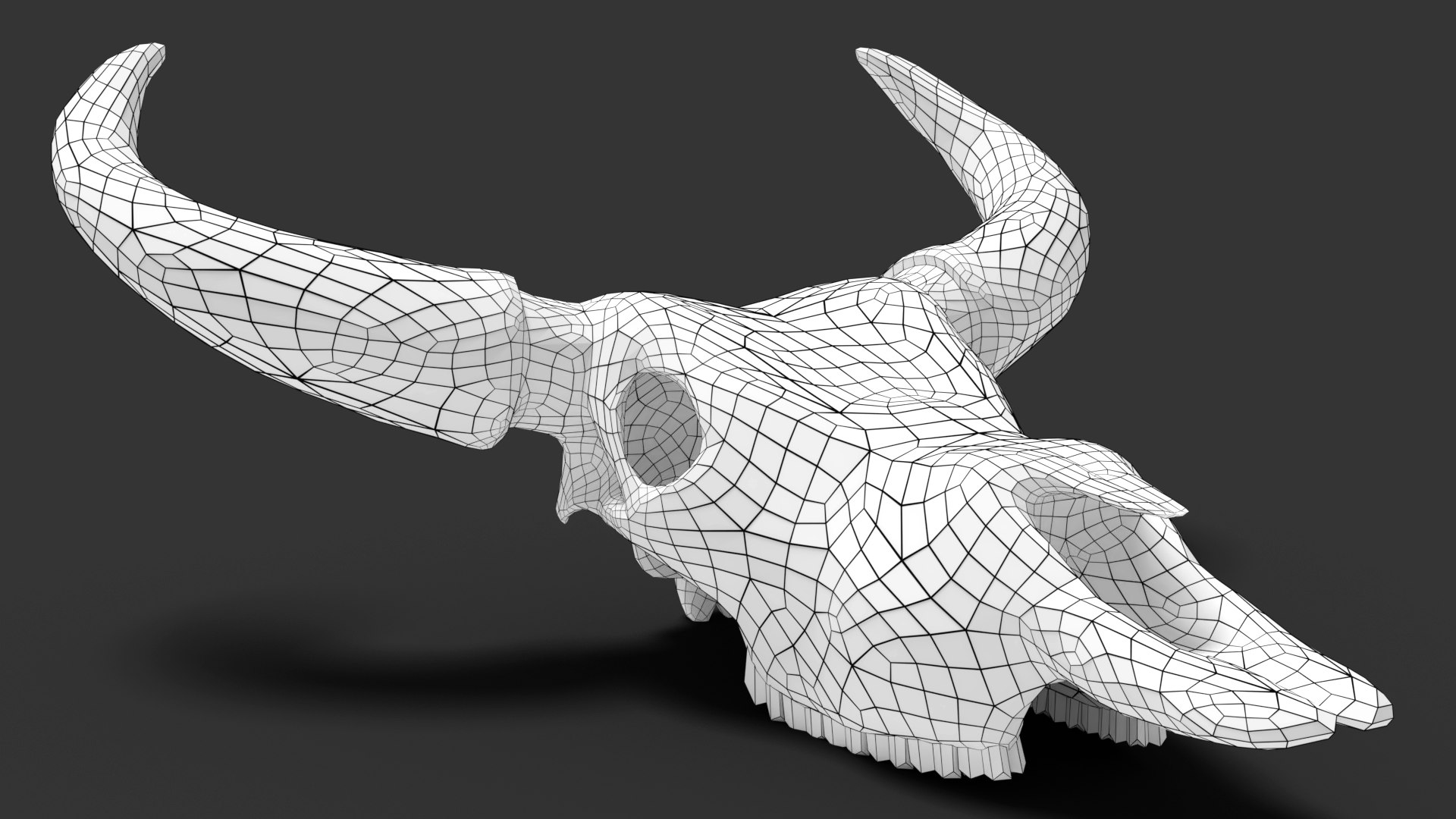 3D Ox Skull - TurboSquid 1956661