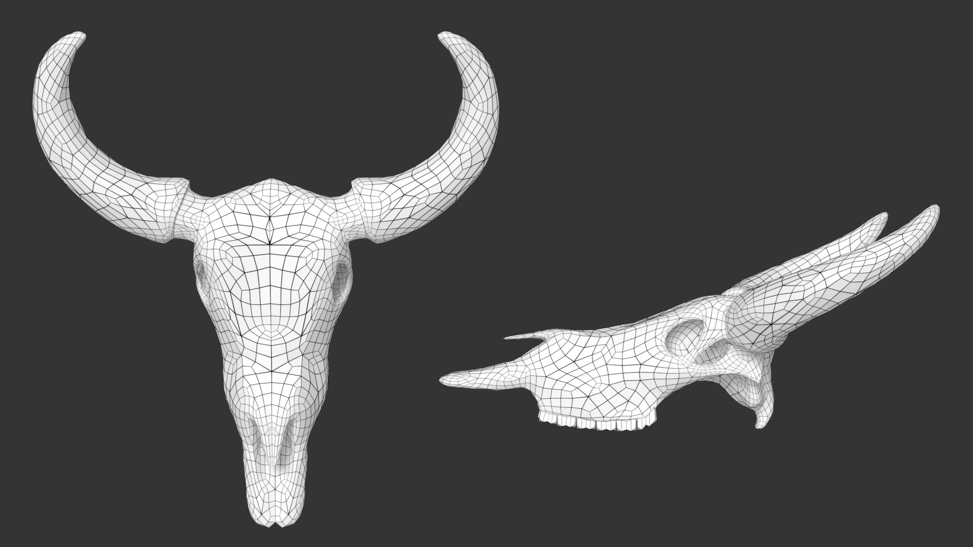 3D Ox Skull - TurboSquid 1956661