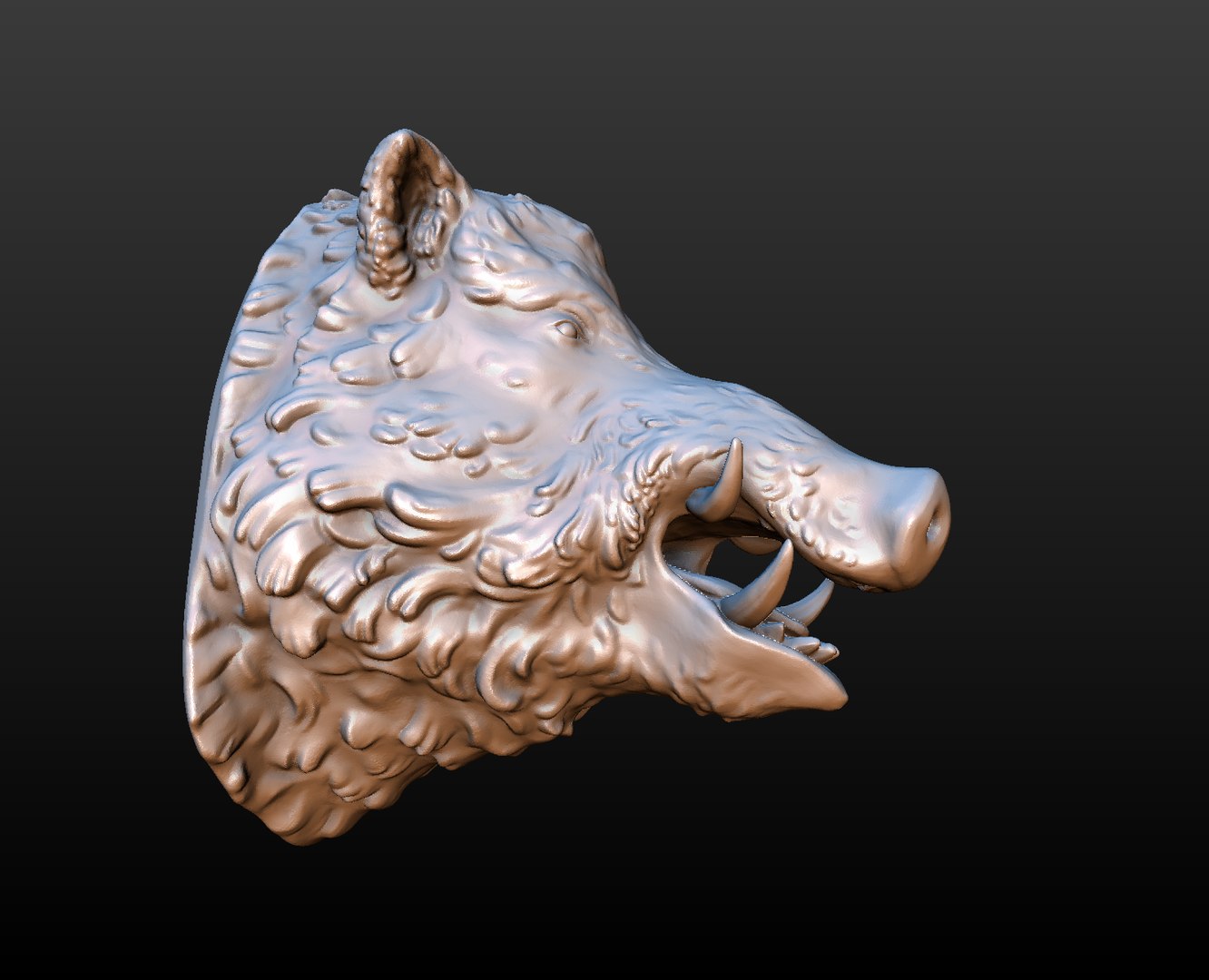 3D Model Boars Head - TurboSquid 1167389
