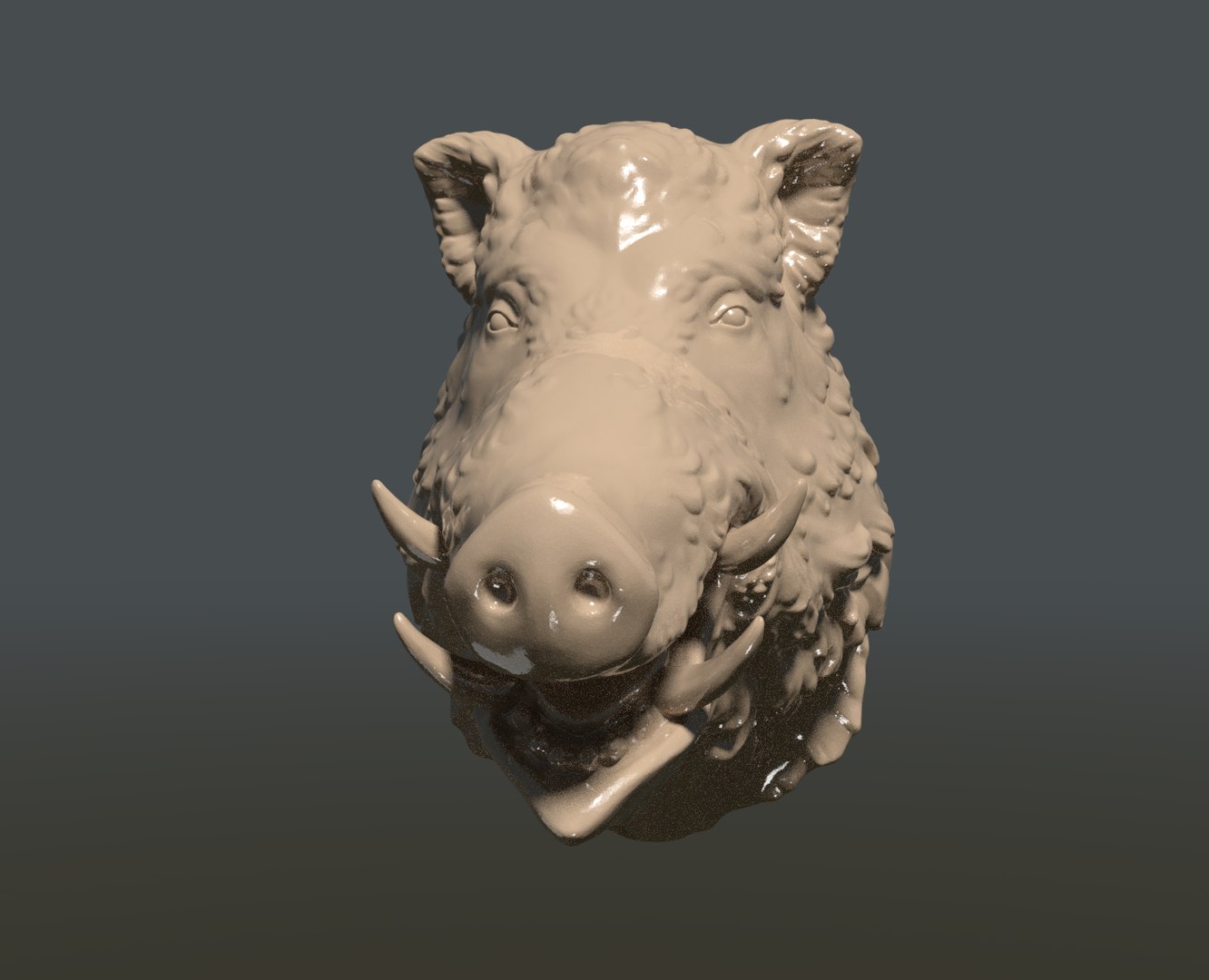 3D Model Boars Head - TurboSquid 1167389