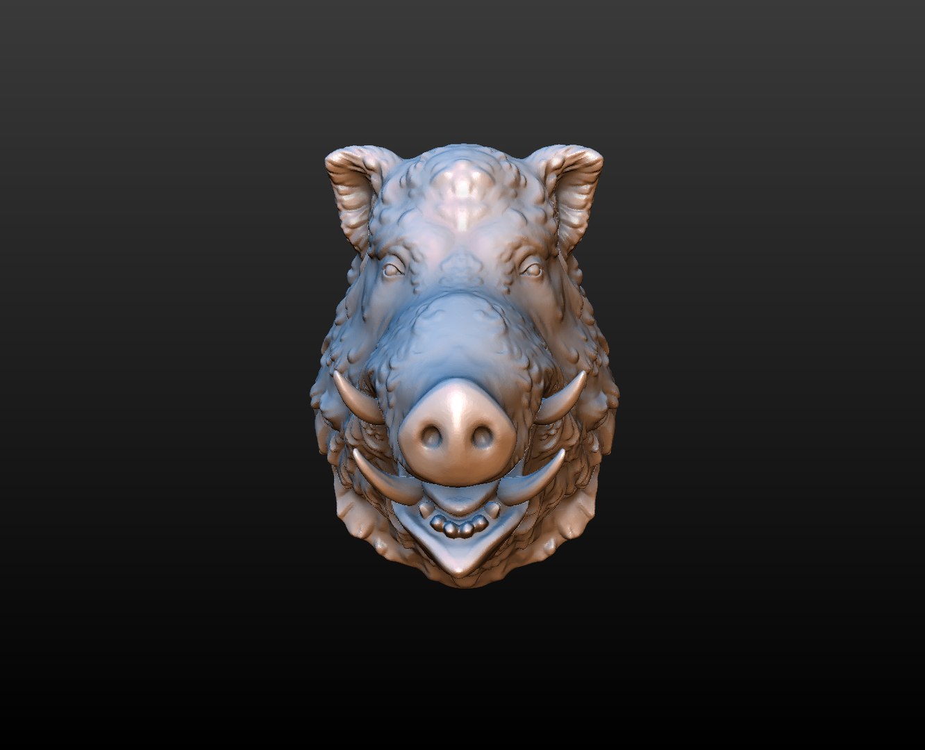 3D Model Boars Head - TurboSquid 1167389