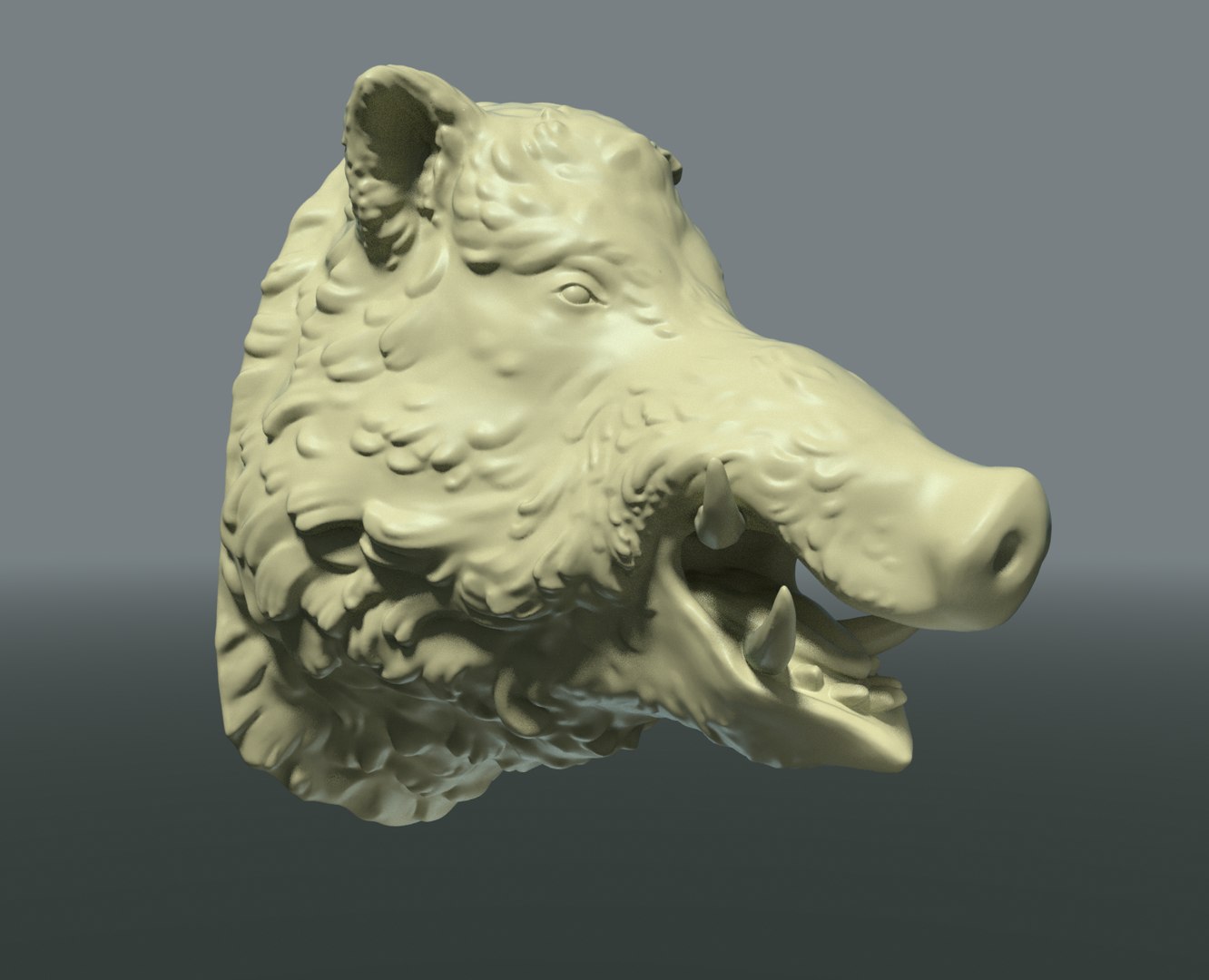 3D Model Boars Head - TurboSquid 1167389