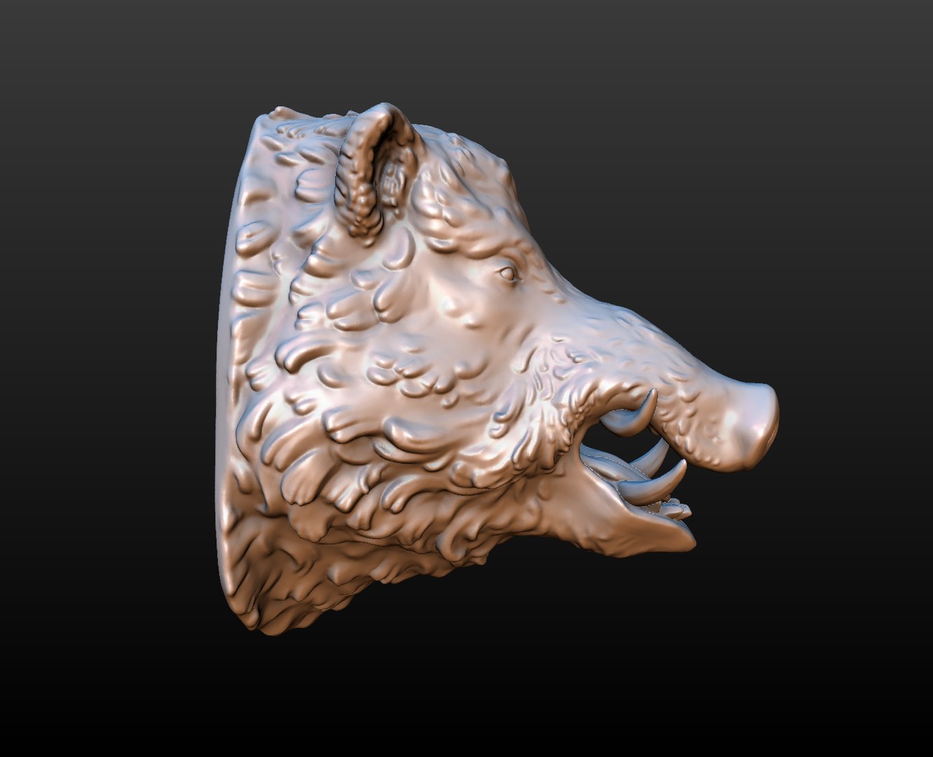 3D Model Boars Head - TurboSquid 1167389