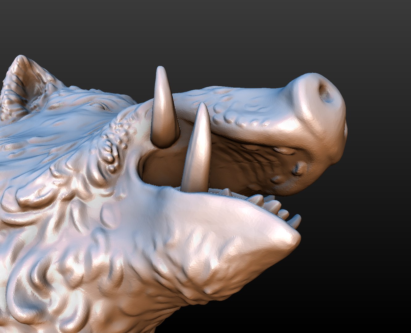 3D Model Boars Head - TurboSquid 1167389