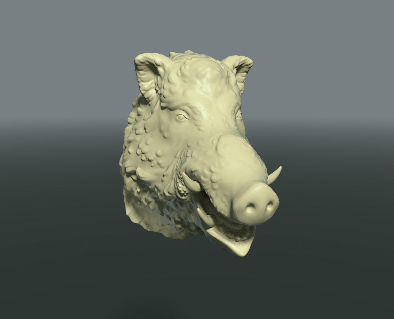 3D Model Boars Head - TurboSquid 1167389