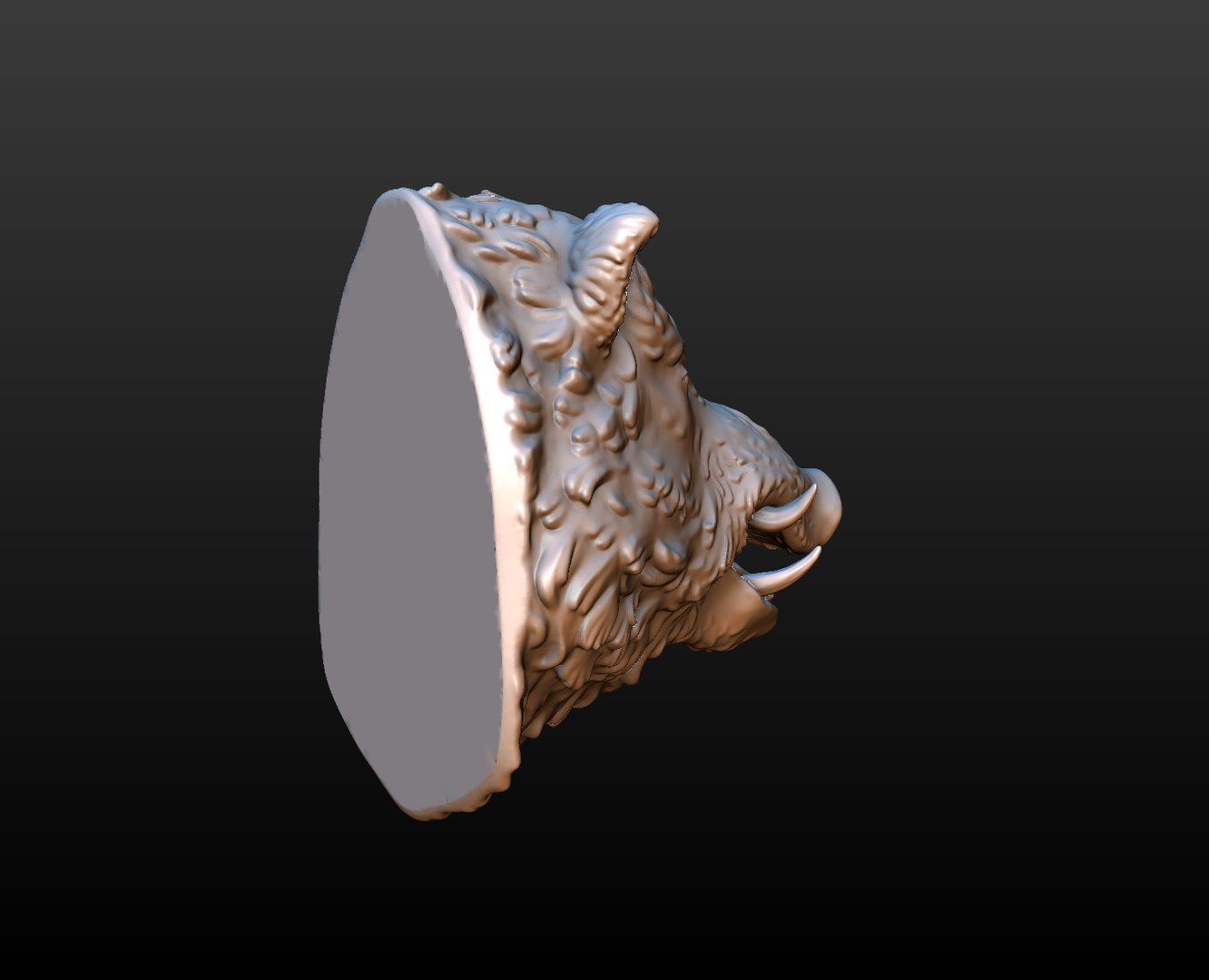 3D Model Boars Head - TurboSquid 1167389