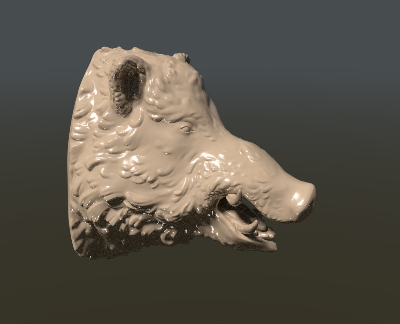 3D Model Boars Head - TurboSquid 1167389