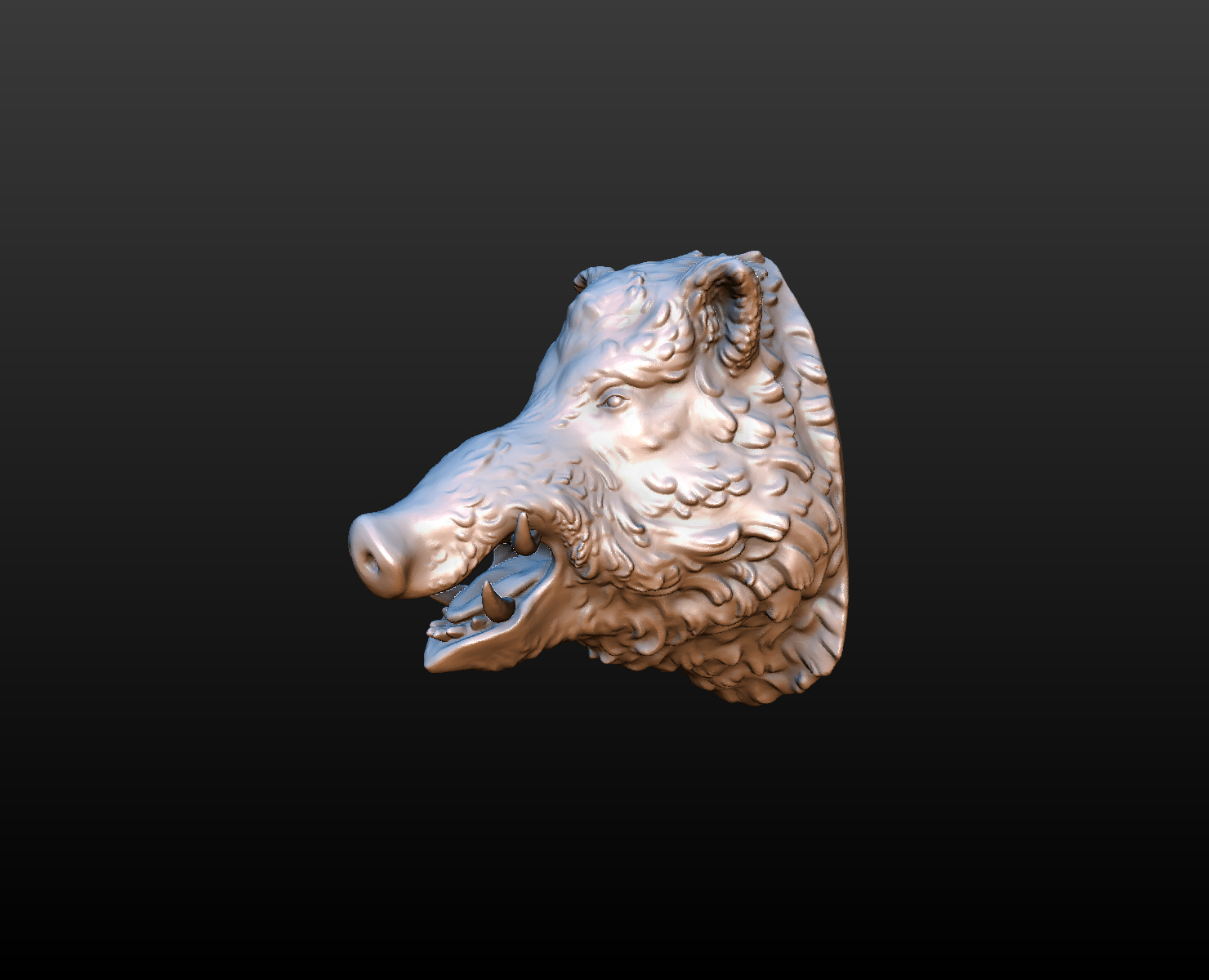 modelo 3d Cabeza de jabalí - TurboSquid 1167389