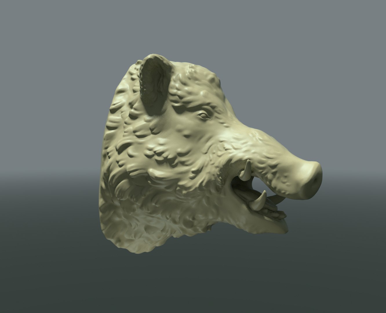 3D Model Boars Head - TurboSquid 1167389