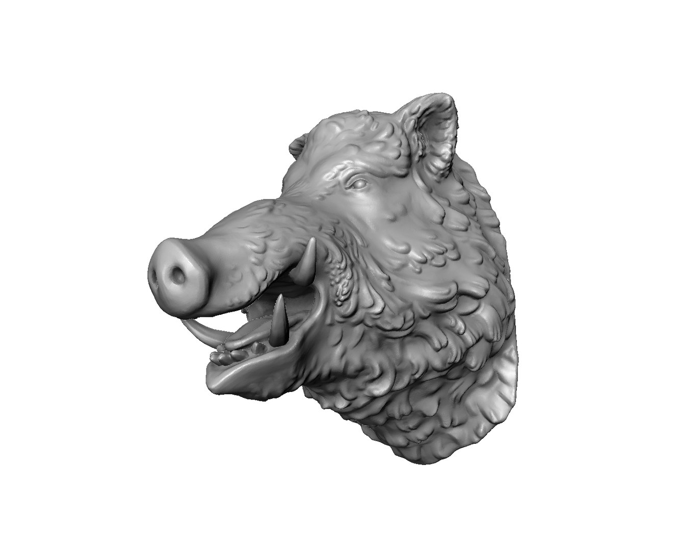 3D Model Boars Head - TurboSquid 1167389