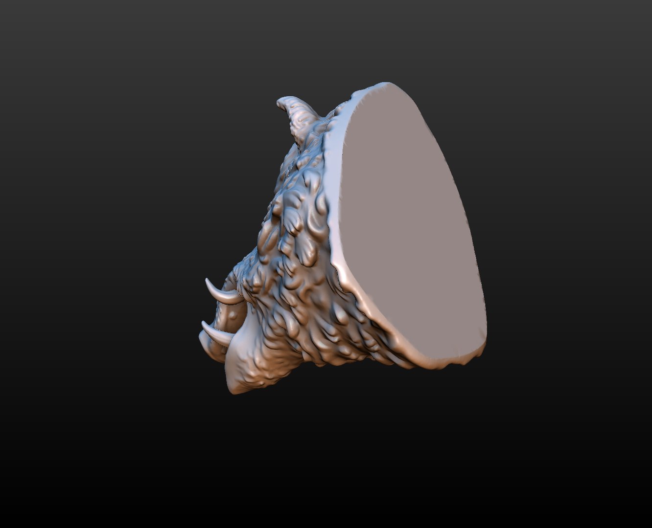 3D Model Boars Head - TurboSquid 1167389