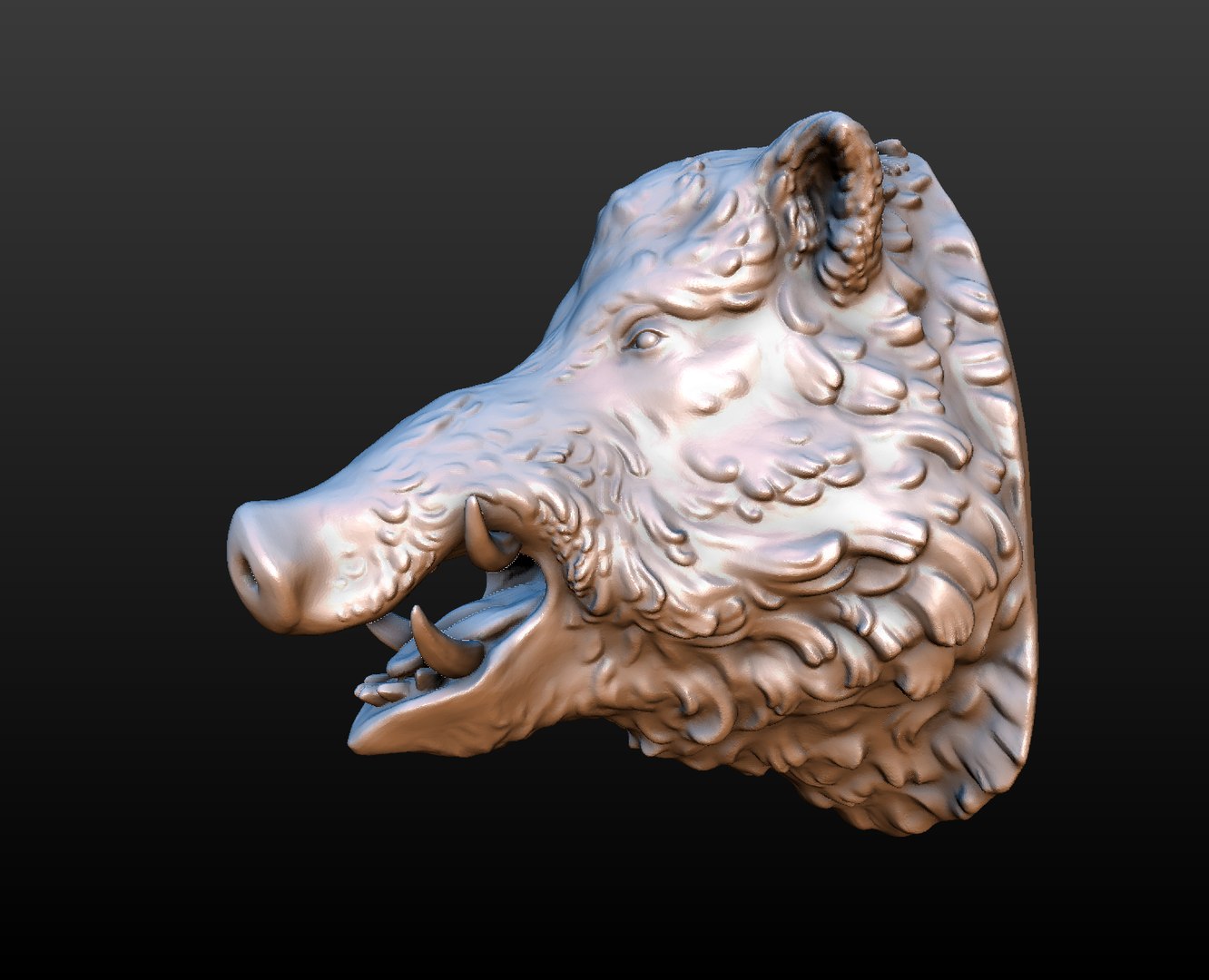3D Model Boars Head - TurboSquid 1167389