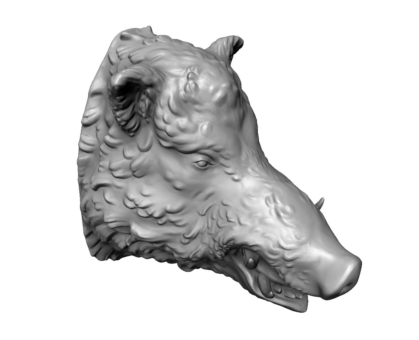 3D Model Boars Head - TurboSquid 1167389