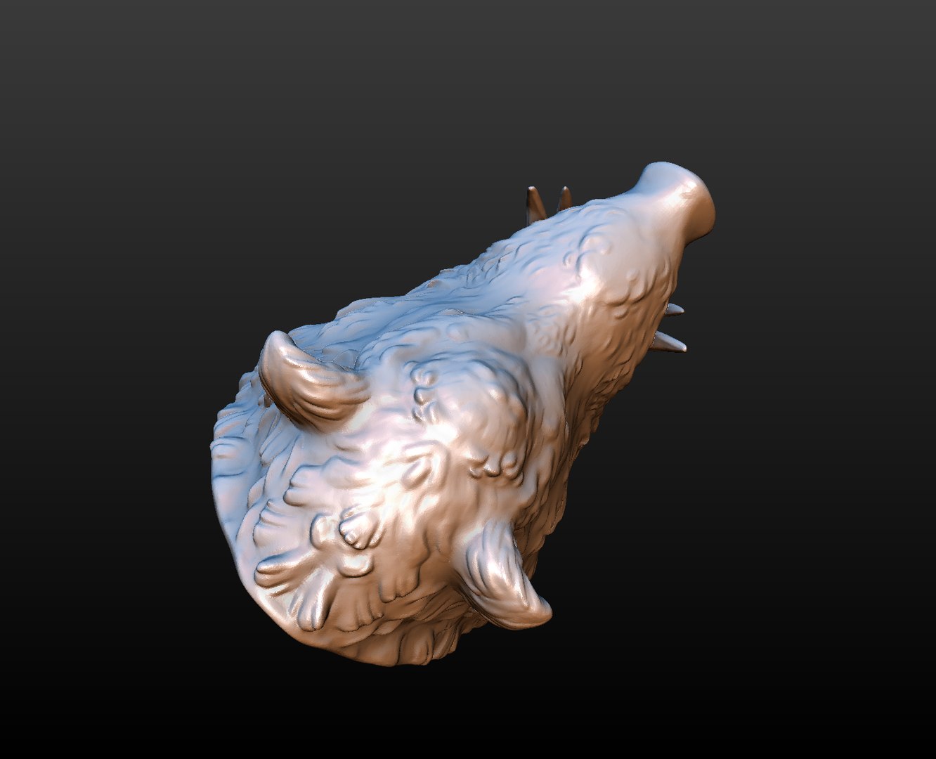 3D Model Boars Head - TurboSquid 1167389