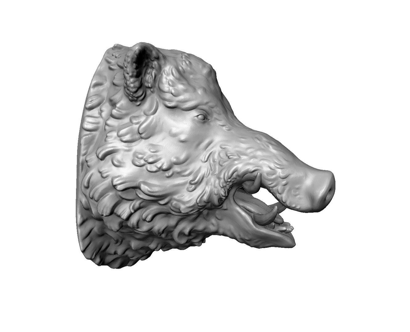 3D Model Boars Head - TurboSquid 1167389