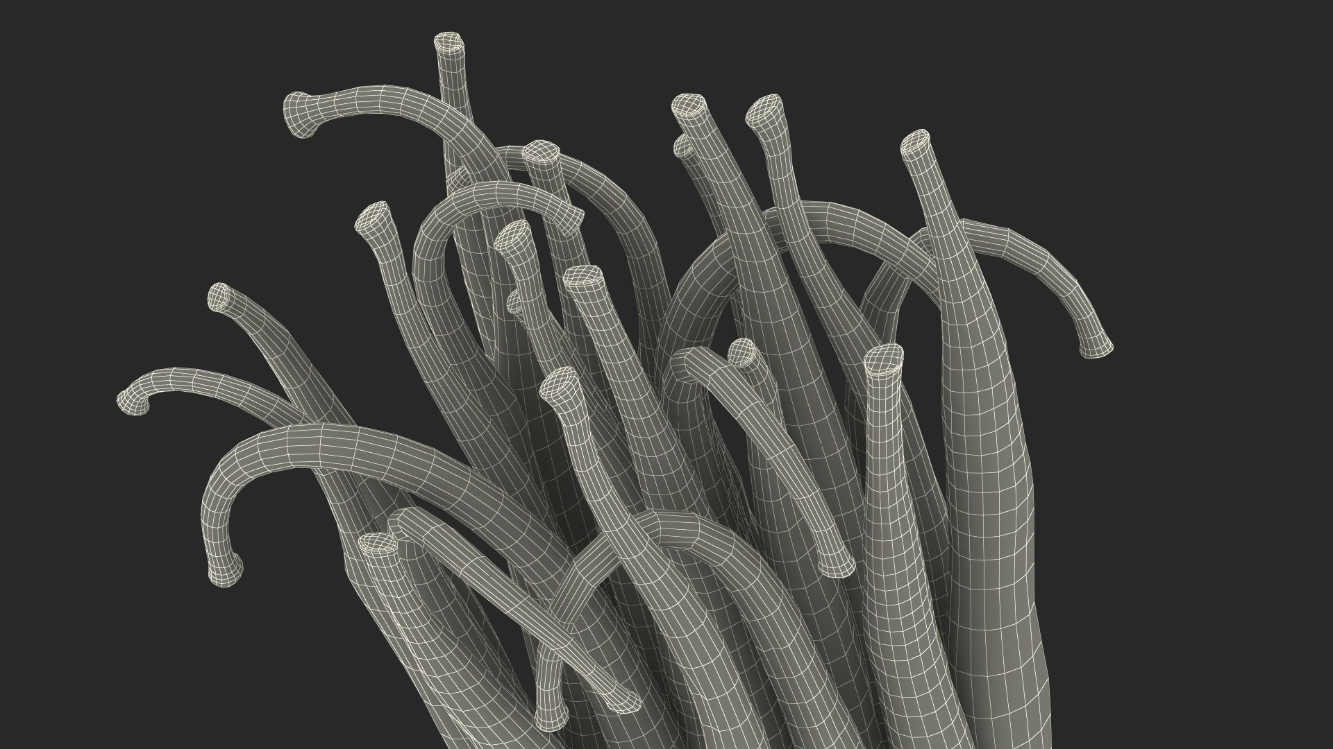 Vanilla Sticks Bunch Fur 3D Model - TurboSquid 2080737