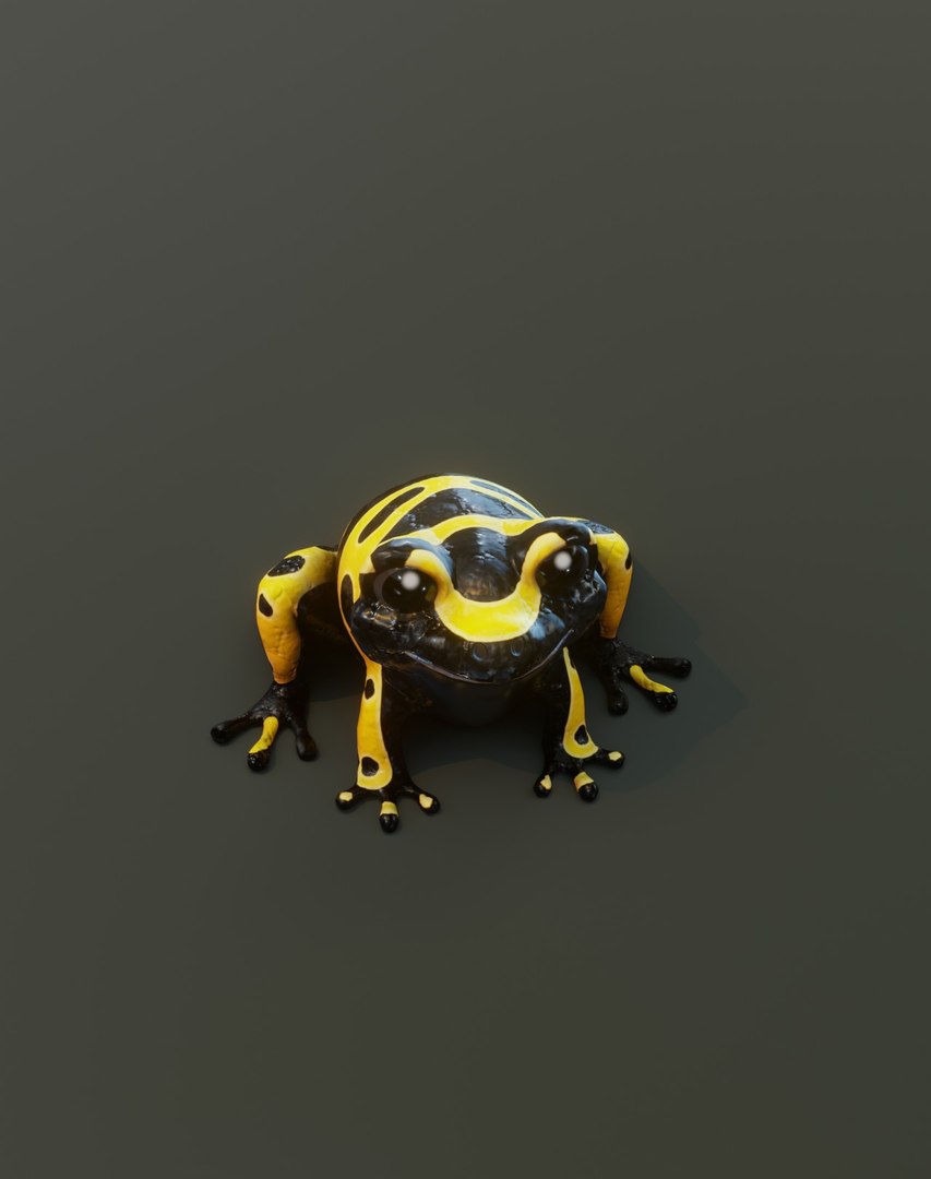 3D Cartoon Yellow-banded Frog With Facial Expressions And 12 Animations ...