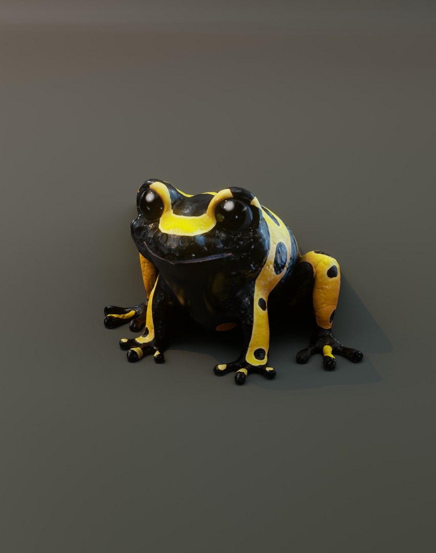 3D Cartoon Yellow-banded Frog With Facial Expressions And 12 Animations ...