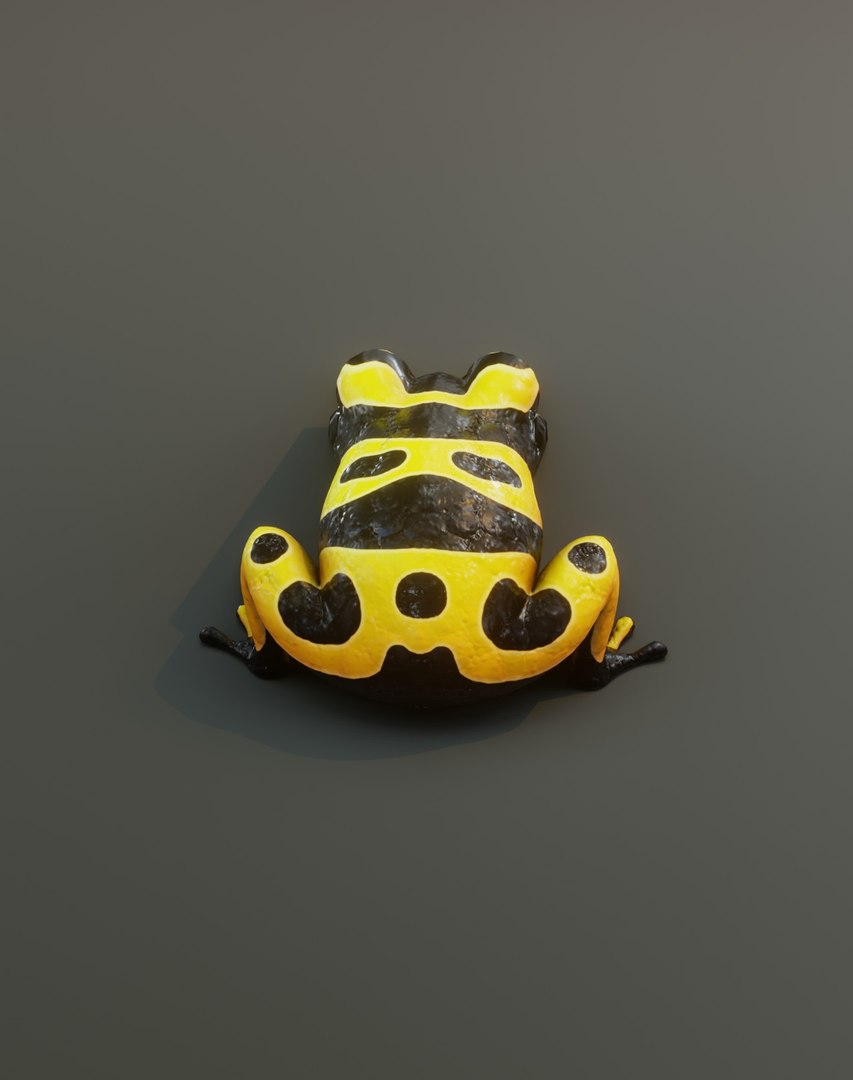 3D Cartoon Yellow-banded Frog With Facial Expressions And 12 Animations ...