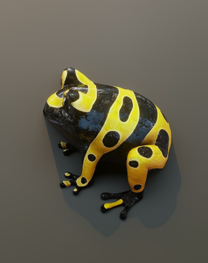3D Cartoon Yellow-banded Frog With Facial Expressions And 12 Animations ...