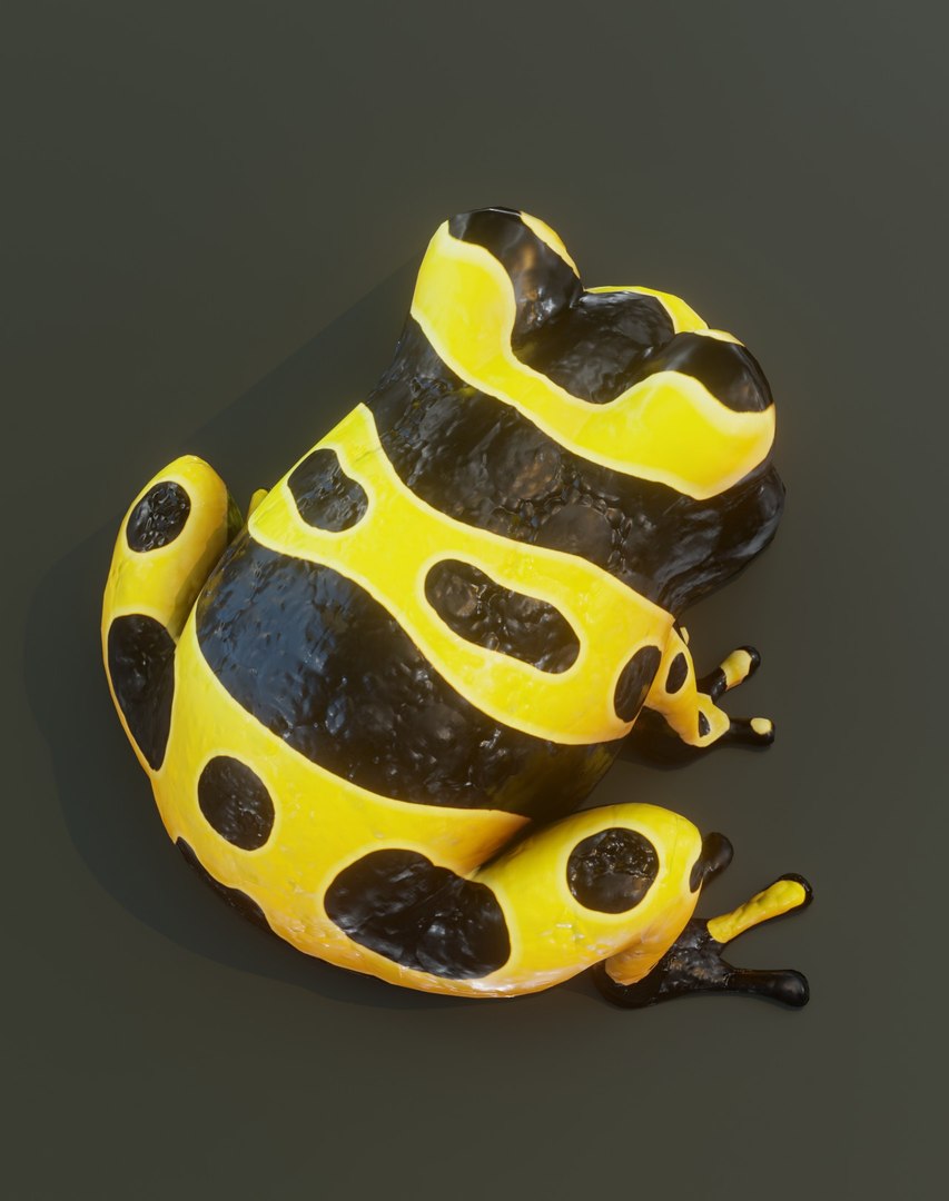 3D Cartoon Yellow-banded Frog With Facial Expressions And 12 Animations ...