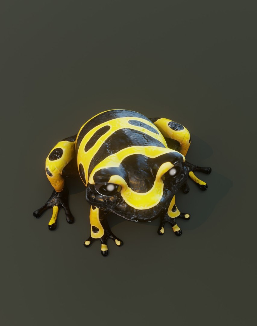 3D Cartoon Yellow-banded Frog With Facial Expressions And 12 Animations ...