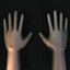 Hands Mesh Obj