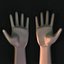 Hands Mesh Obj