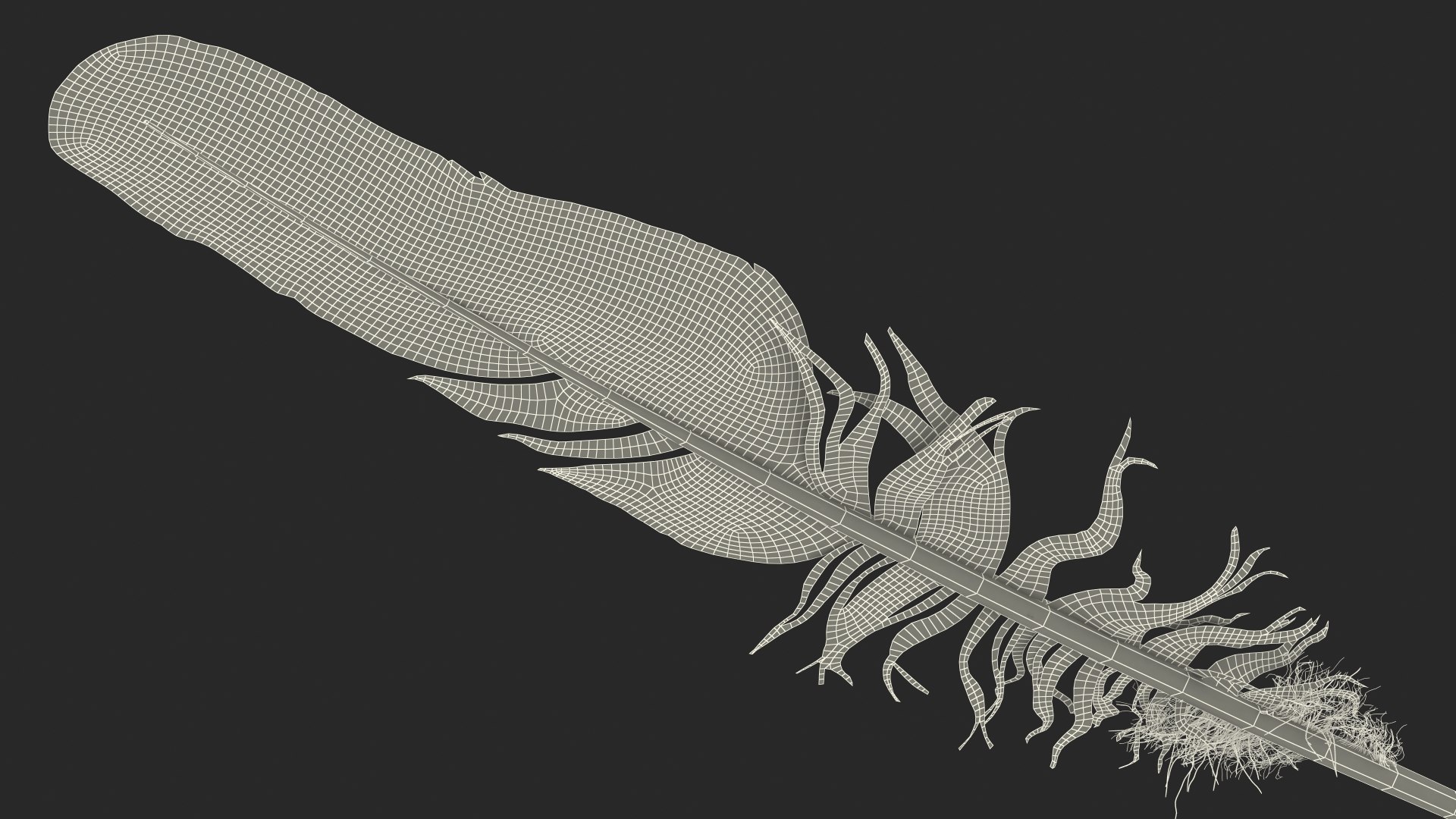 3D model Feather Bird Brown Colored - TurboSquid 2161773