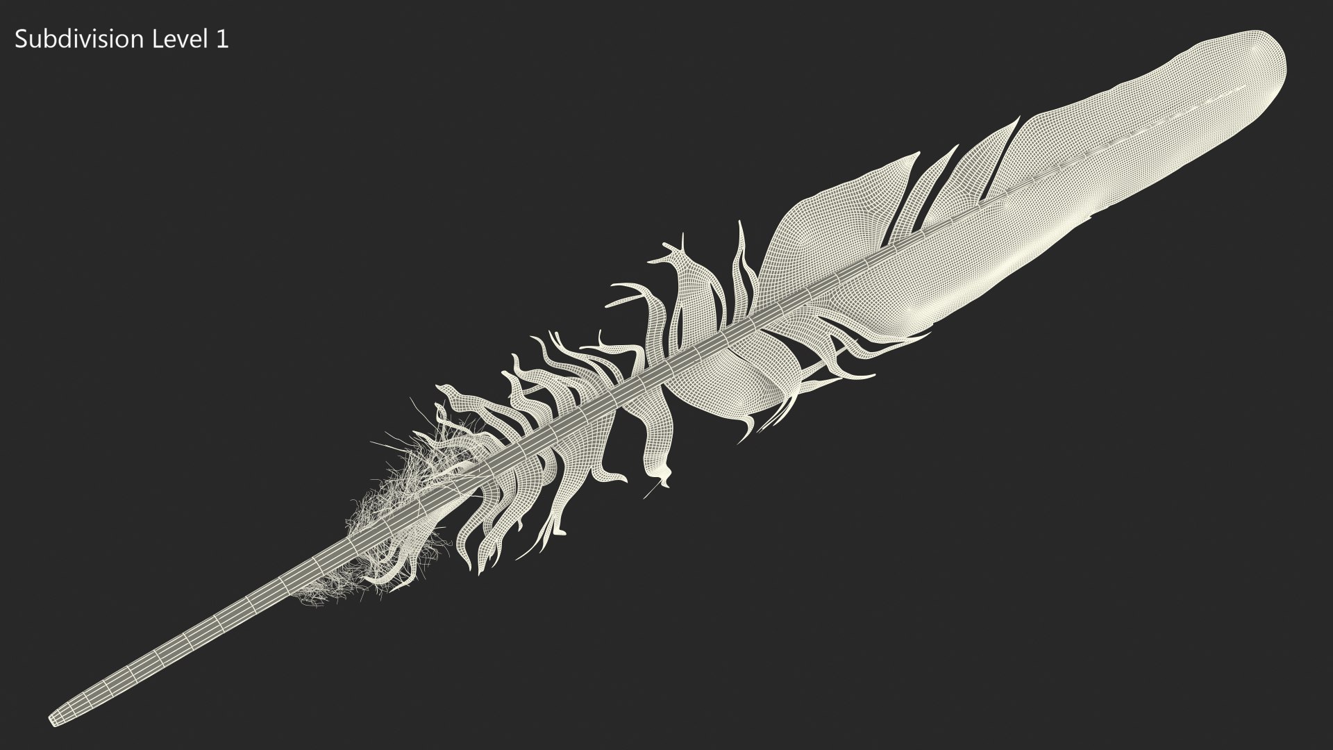 3D model Feather Bird Brown Colored - TurboSquid 2161773