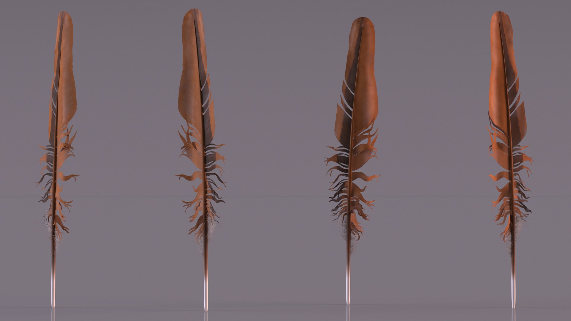 3D Model Feather Bird Brown Colored - TurboSquid 2161773