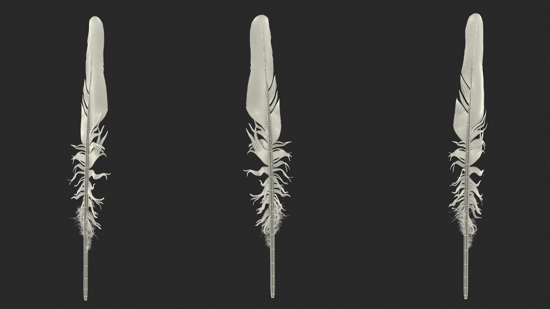 3D model Feather Bird Brown Colored - TurboSquid 2161773