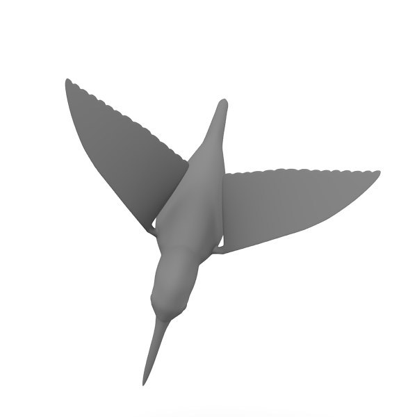 3d colibri birds rigged model
